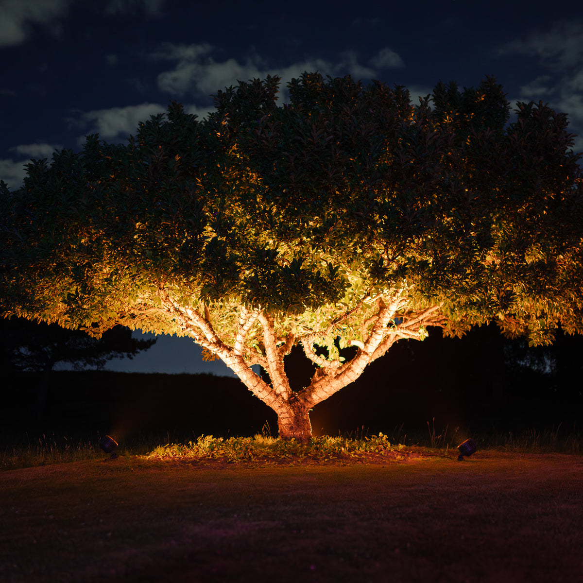 Commercial Grade 36W LED RGBW Flood Light with Branch Mount – Big Star ...